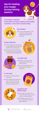 Your New Puppy Training Guide: When to Tackle Each Skill