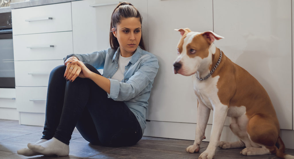 5 Ways Puppy Socialization Classes Help Your Dog to Learn and Grow