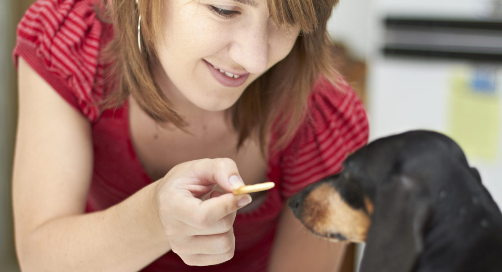 Puppy Training Tips: 5 Dog Experts Share Their Secrets