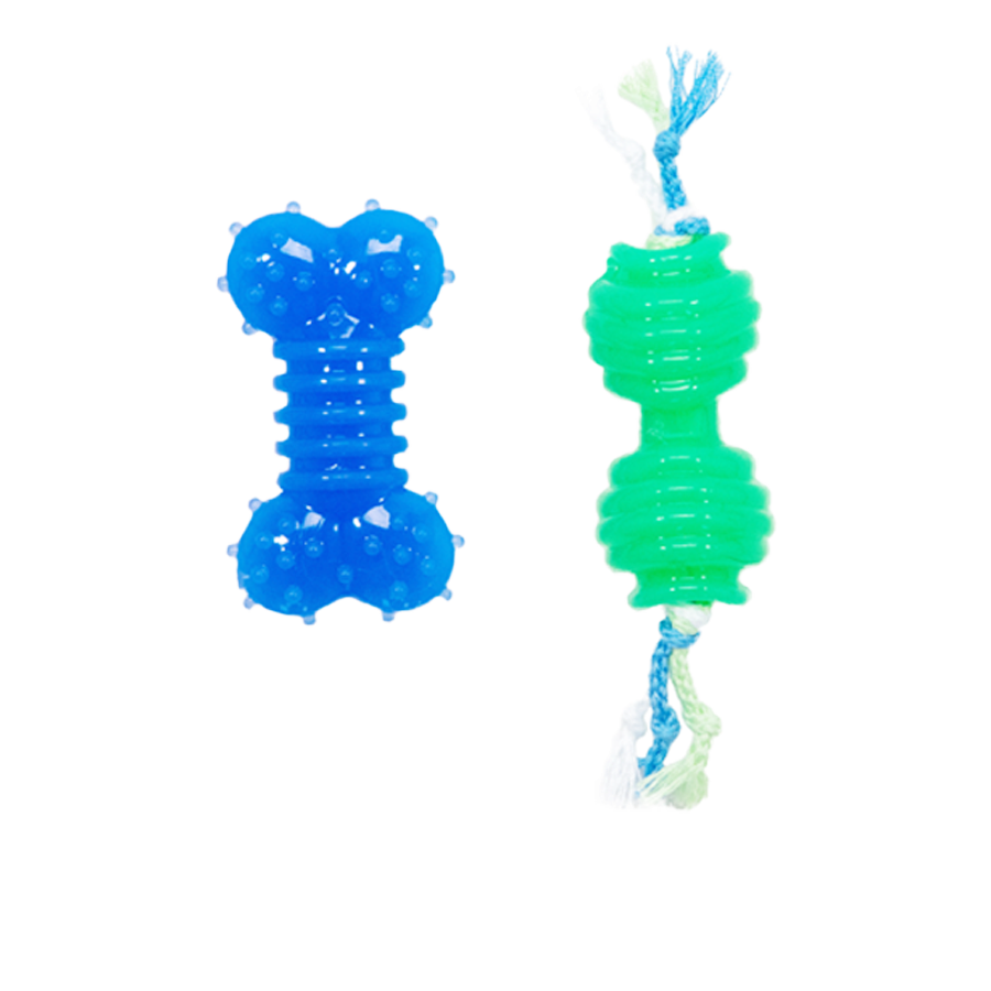 Petstages Mini Bone Dog Toy, Pack of 2